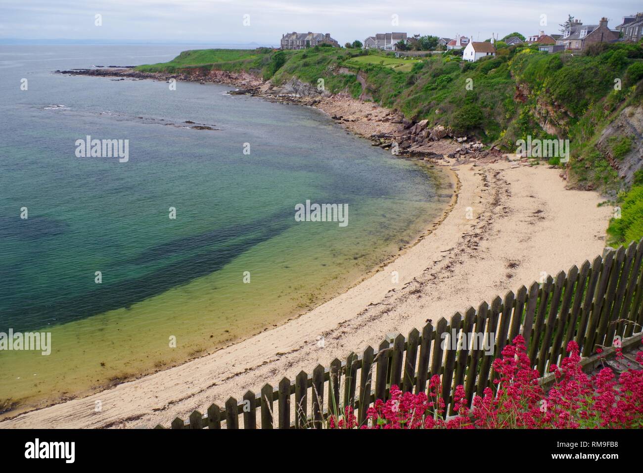Sandy Beach at Crail at High Tide. Fife, Scotland, UK Stock Photo - Alamy
