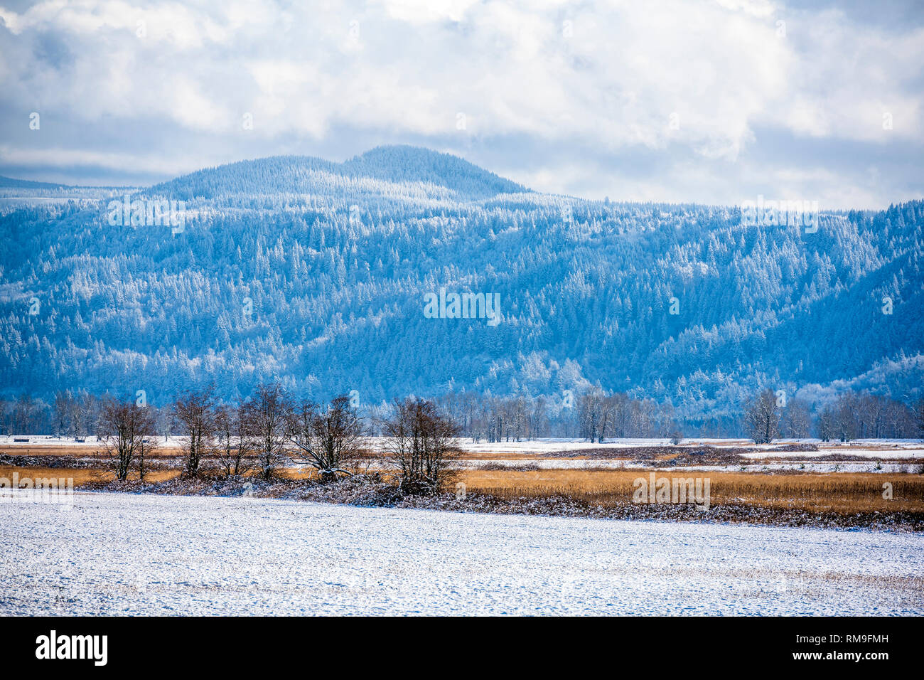 Winter landscape of the valley and hills covered with snow-covered ...