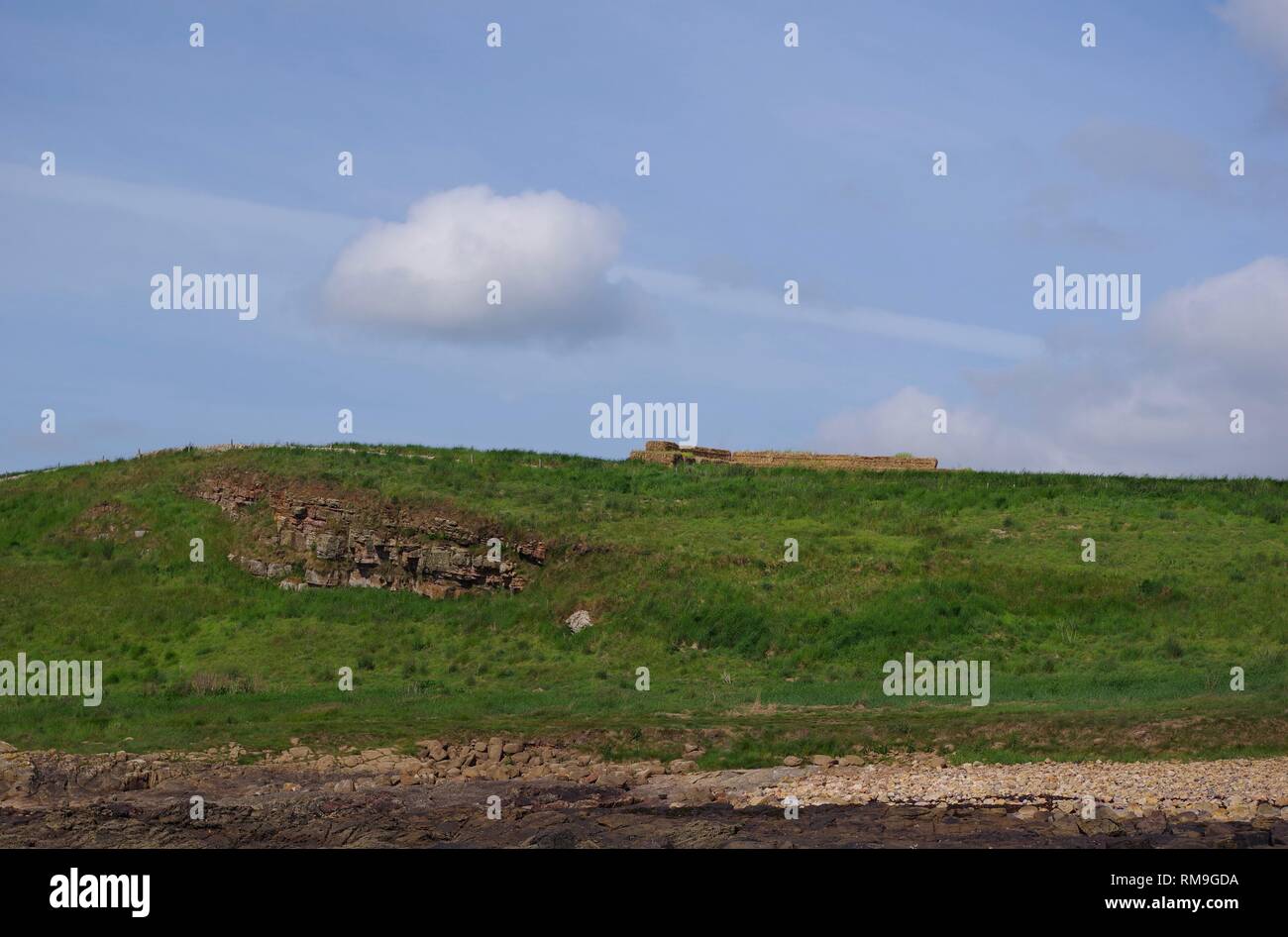 Grass Cliff by a Raised Beach along the Fife Coast Path on a Sunny ...