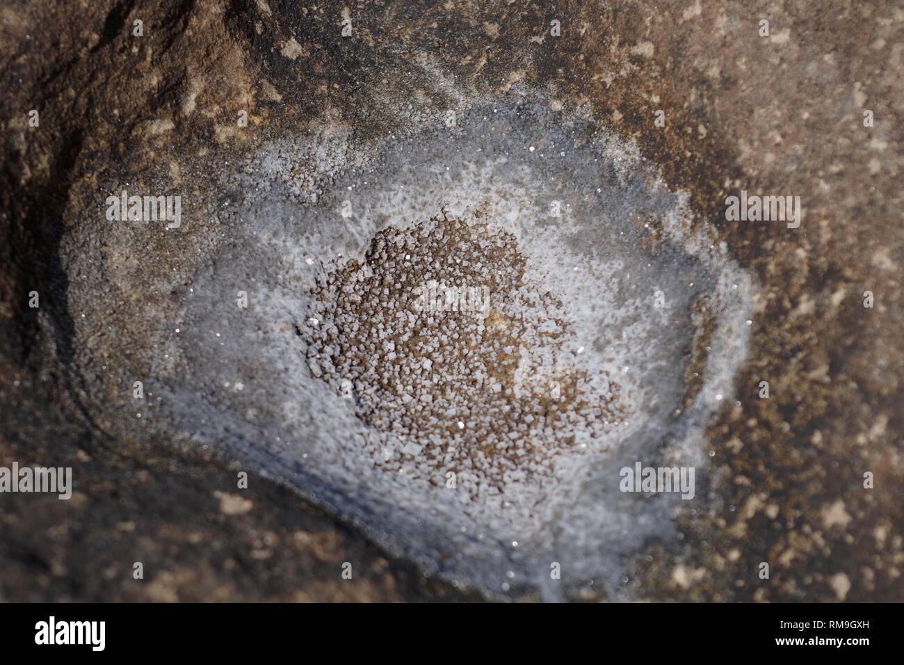 Natural Background of Halite Salt Crystals Forming from Evaporation in ...