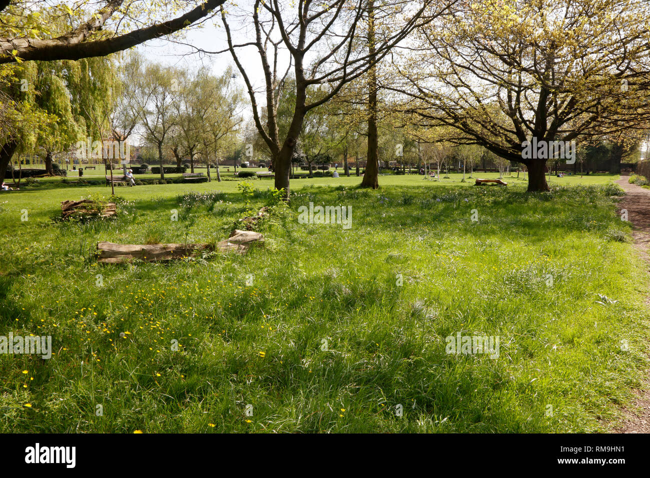 Haggerston Park, Haggerston, London, UK Stock Photo - Alamy