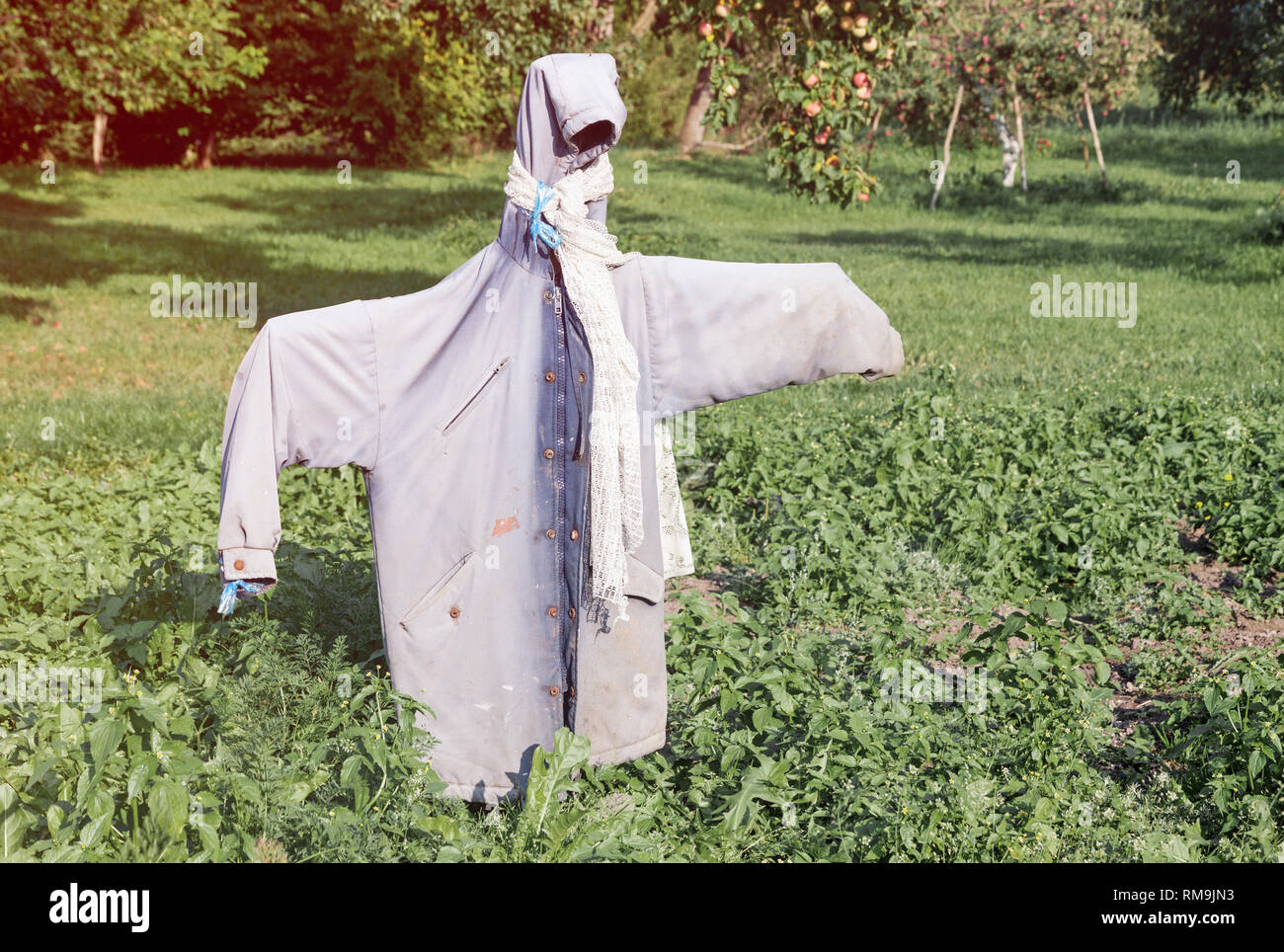Scarecrow garden hi-res stock photography and images - Alamy