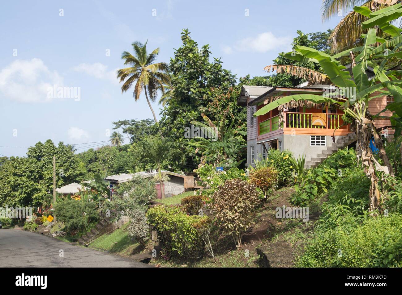 Grenada Rainforest High Resolution Stock Photography and Images - Alamy