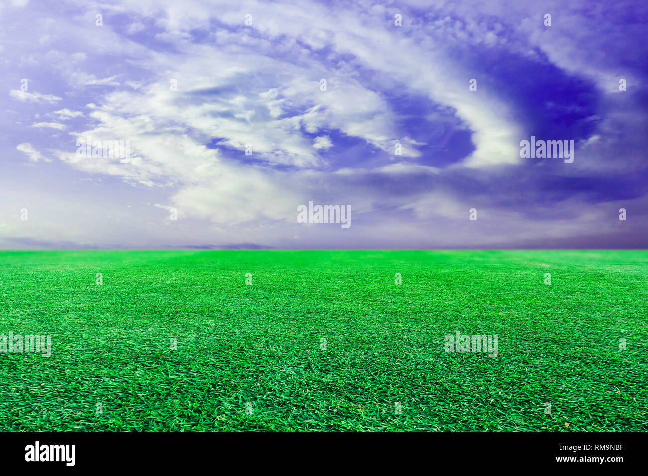 Green lawn sky background Stock Photo - Alamy