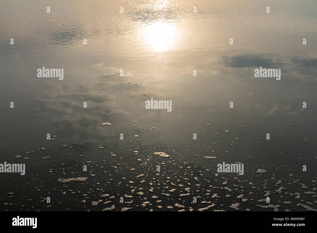 Spoiled fish hi-res stock photography and images - Alamy