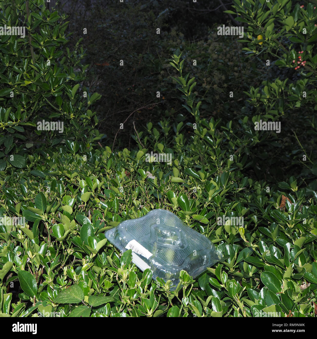 Coke cans space hi-res stock photography and images - Alamy