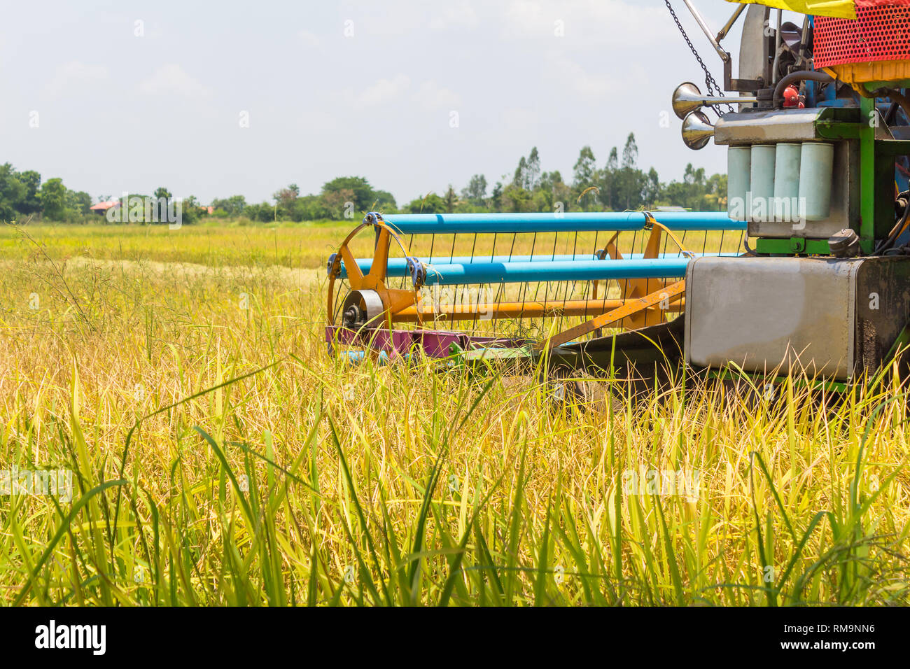 farm worker harvesting rice with tractor in Thailand Stock Photo - Alamy