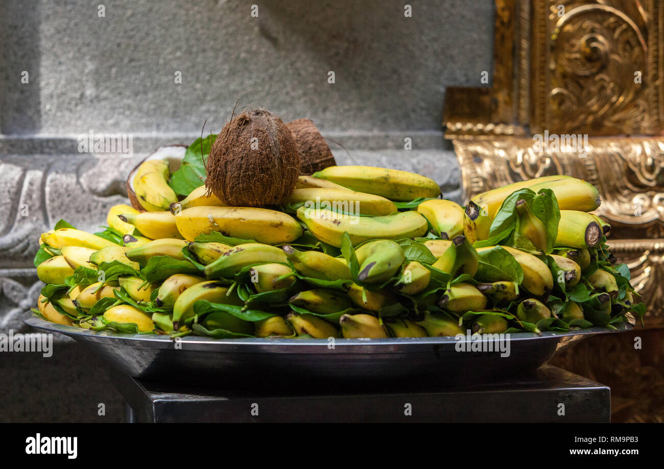 Offerings of Bananas and Coconuts at Singapore Hindu Temple Sri ...