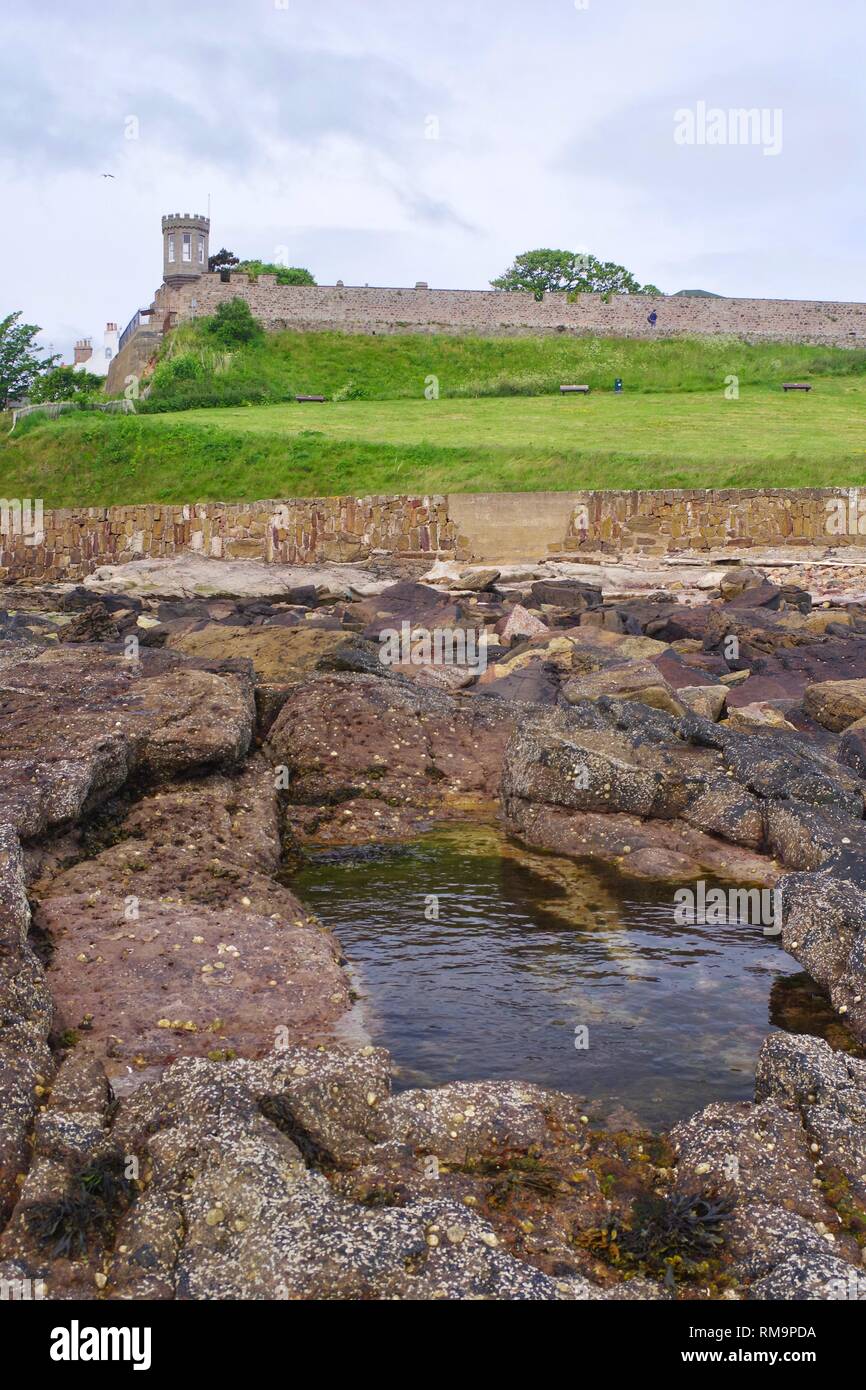 Rockpool along the Fife Coast in Roome Bay. Scotland, UK Stock Photo ...