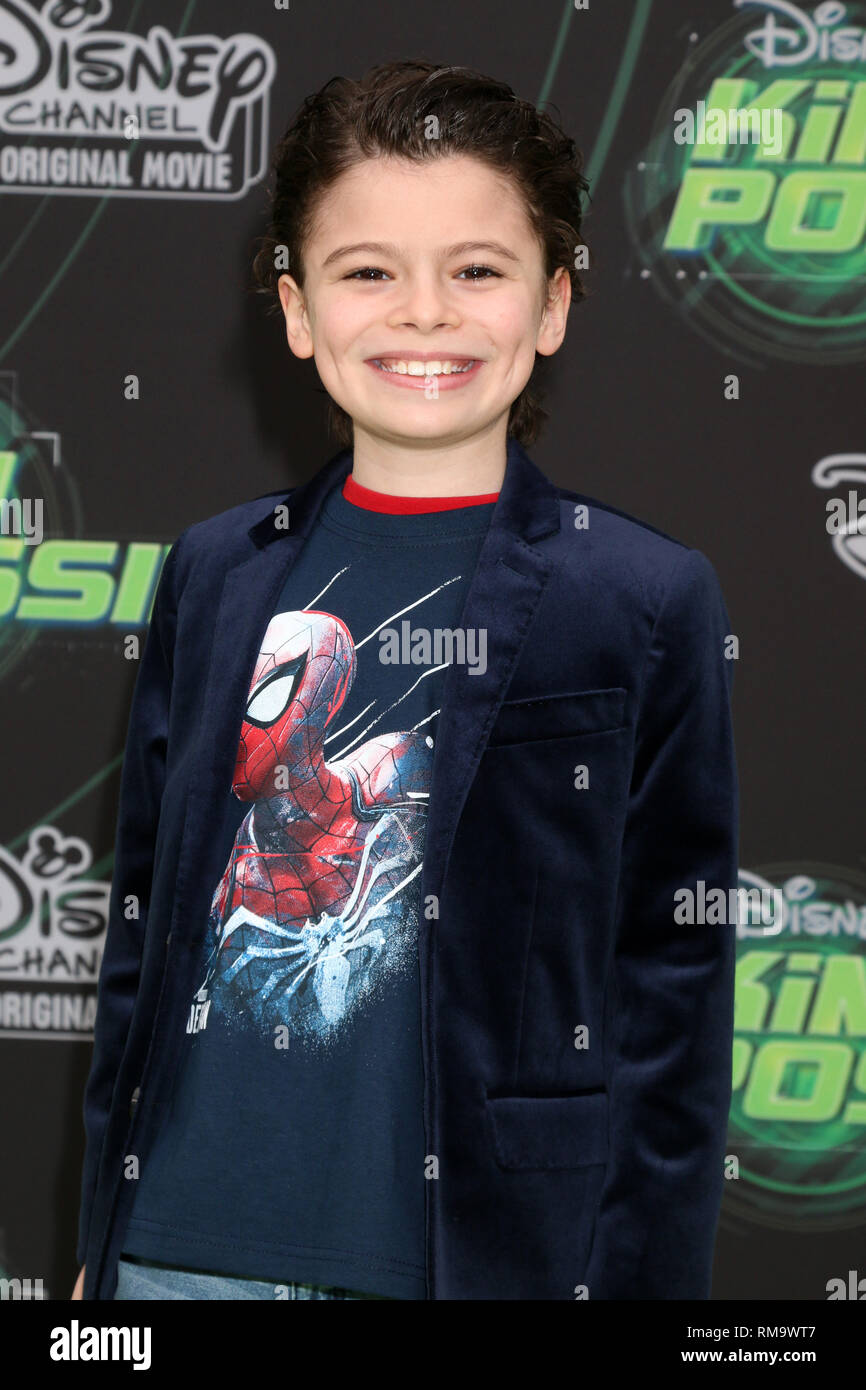 Los Angeles, CA, USA. 12th Feb, 2019. LOS ANGELES - FEB 12: Raphael ...