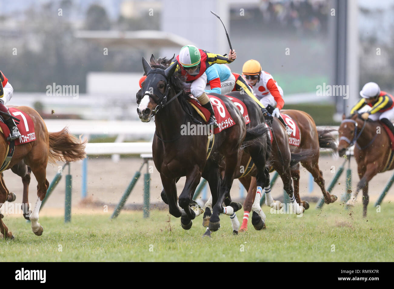 Kyoto, Japan. 10th Feb, 2019. Danburite (Fuma Matsuwaka) Horse Racing ...