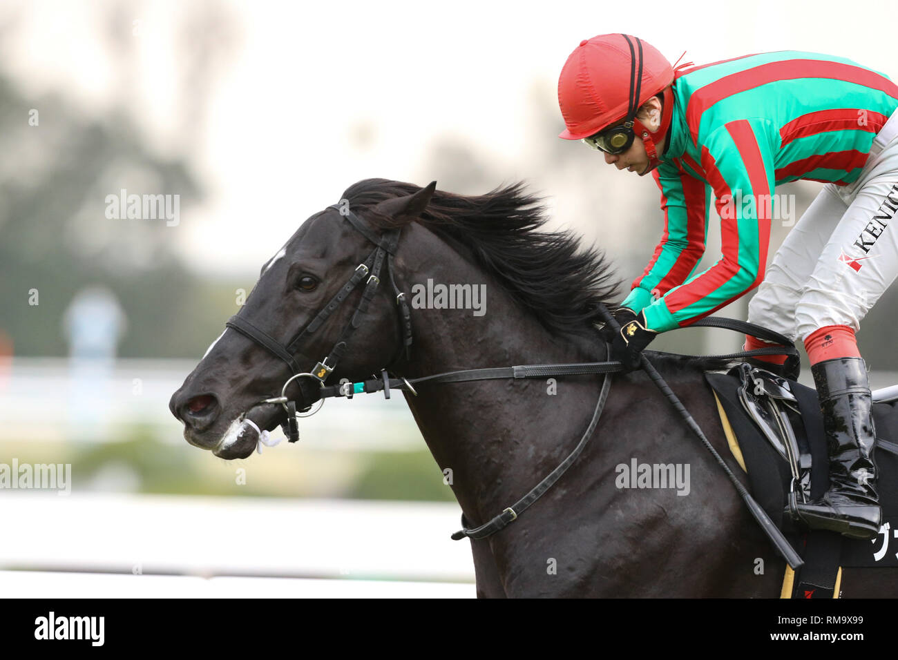 Kyoto, Japan. 9th Feb, 2019. Guanciale (Kenichi Ikezoe) Horse Racing ...