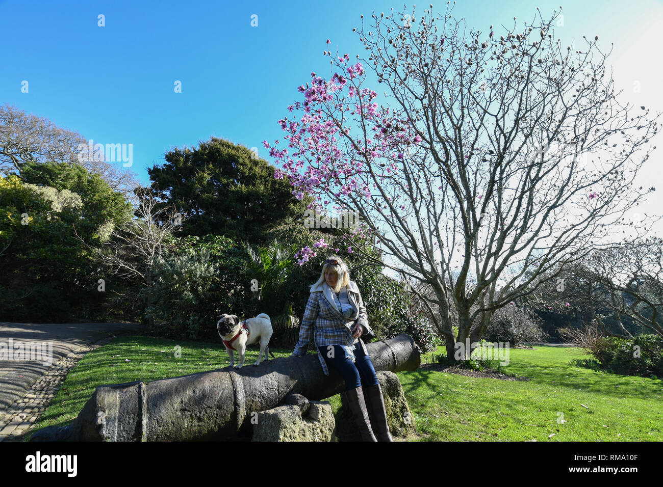 Penzance, Cornwall, UK. 14th Feb, 2019. UK Weather. The great gardens ...