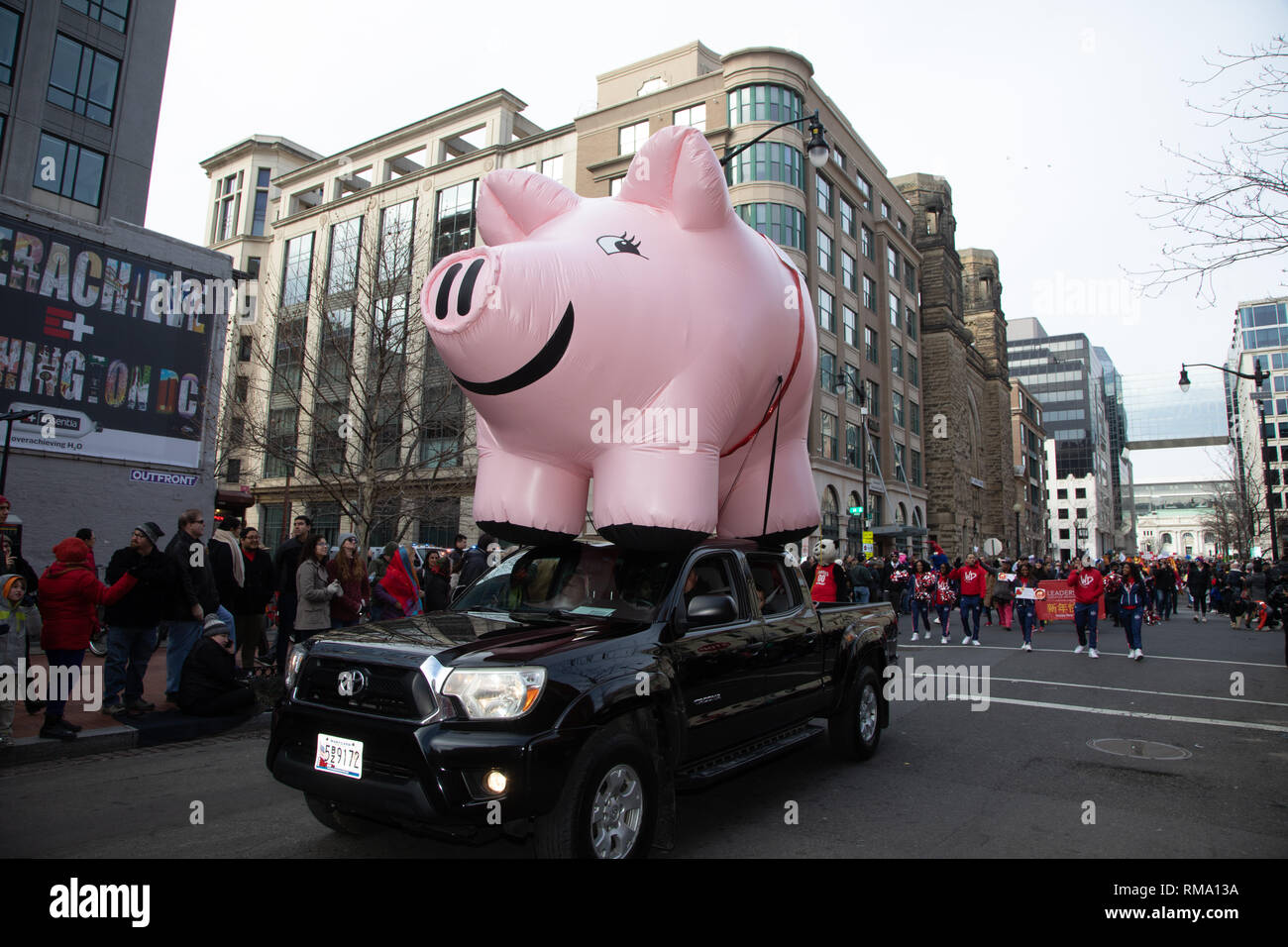 The "Big Pig" participated in the Chinese New Year Parade in Washington ...
