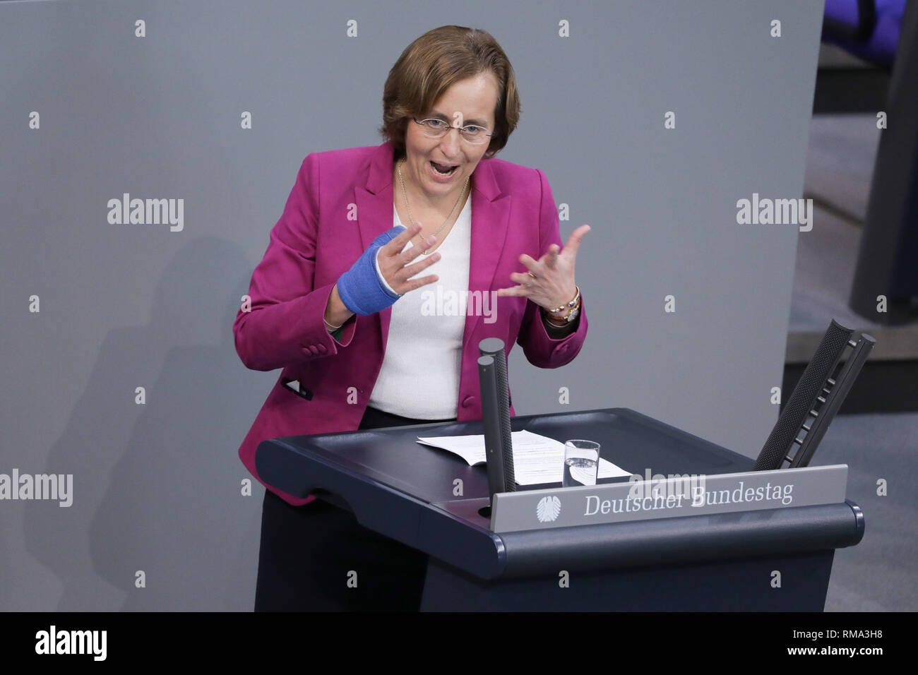 Berlin, Germany. 14th Feb, 2019. Beatrix von Storch of the AfD speaks ...