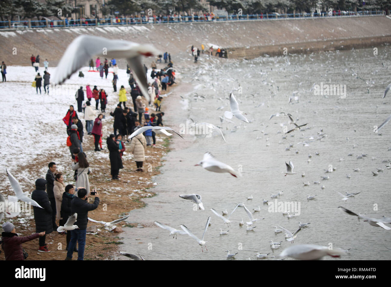Qingdao, Qingdao, China. 14th Feb, 2019. Qingdao, CHINA-The snow ...