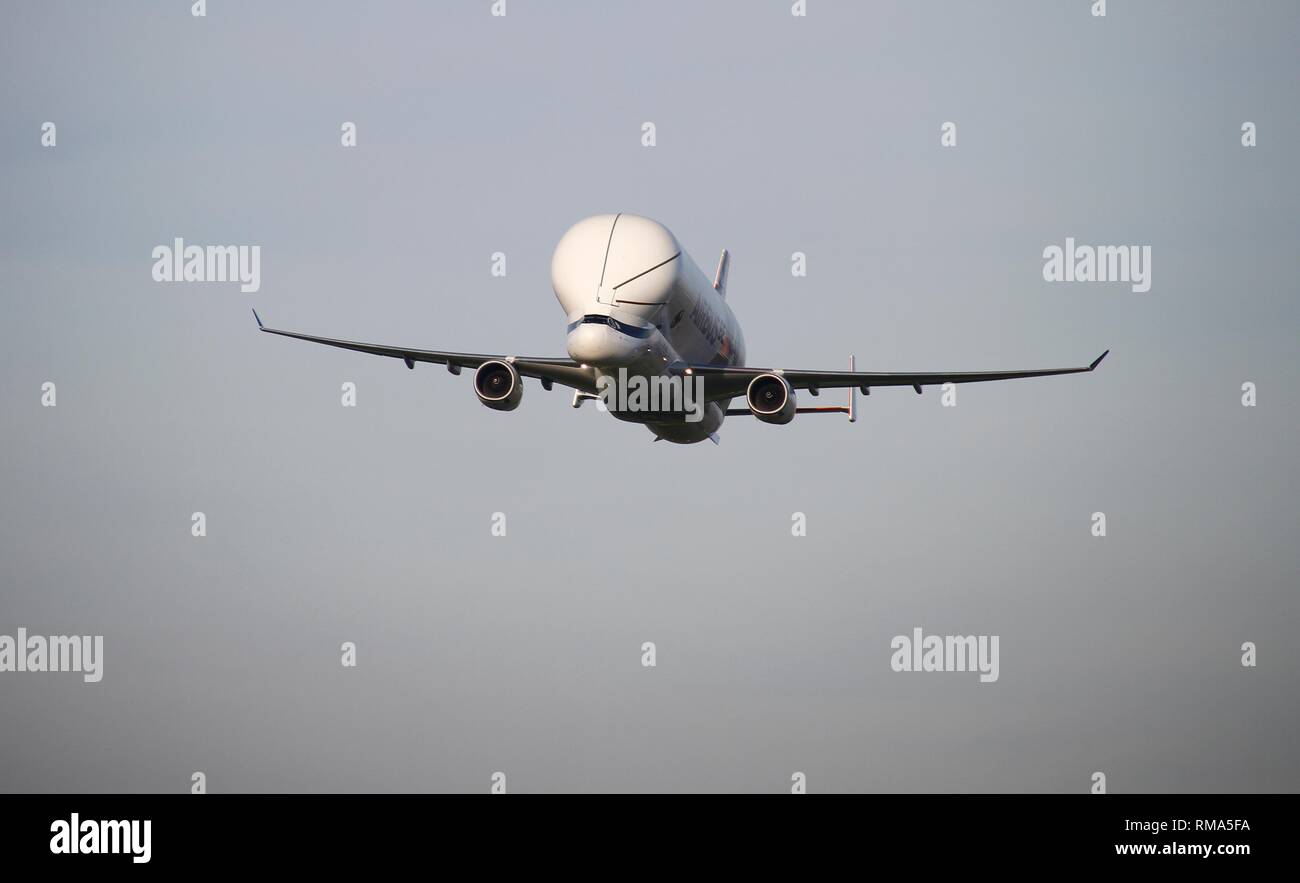 Beluga whale aircraft hi-res stock photography and images - Alamy