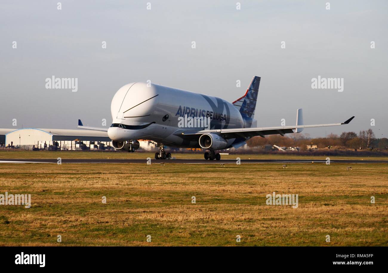 Airbus beluga rolls hi-res stock photography and images - Alamy