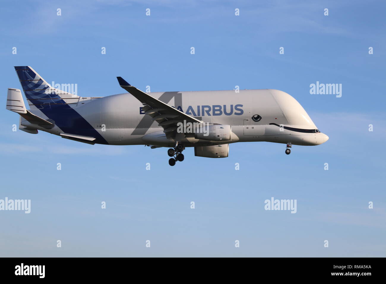 Airbus Beluga XL, Hawarden Airport, Deeside, Wales, UK Thursday 14 ...