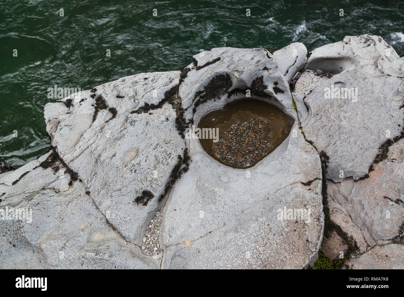 Volcanic rock on the shore of the Upper Rogue River that has been ...