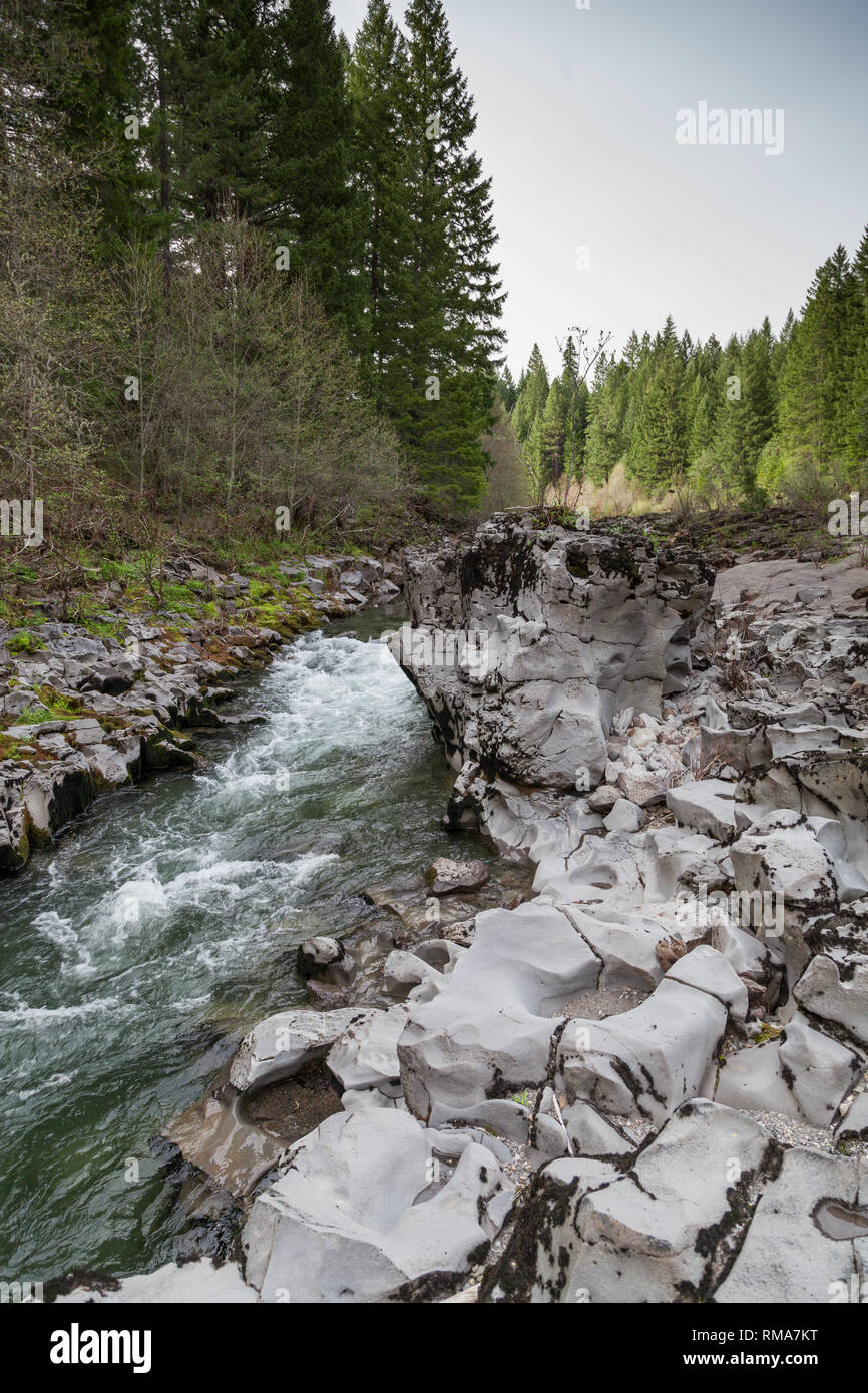The Upper Rogue River beneath the Prospect Dam with fast moving clear ...