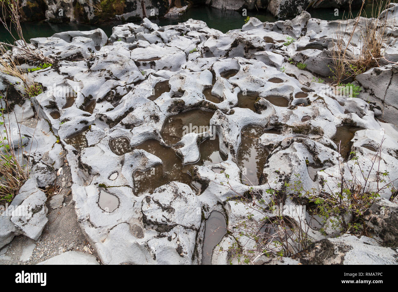 Volcanic rock on the shore of the Upper Rogue River that has been ...