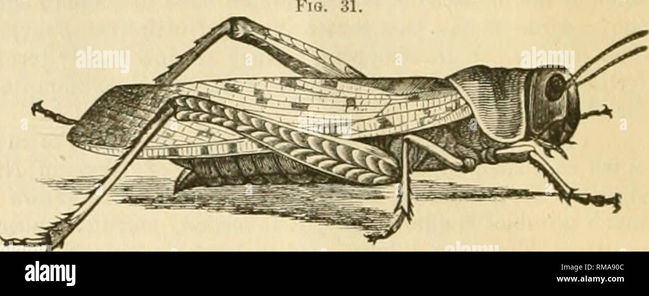 Diffirent hi-res stock photography and images - Alamy