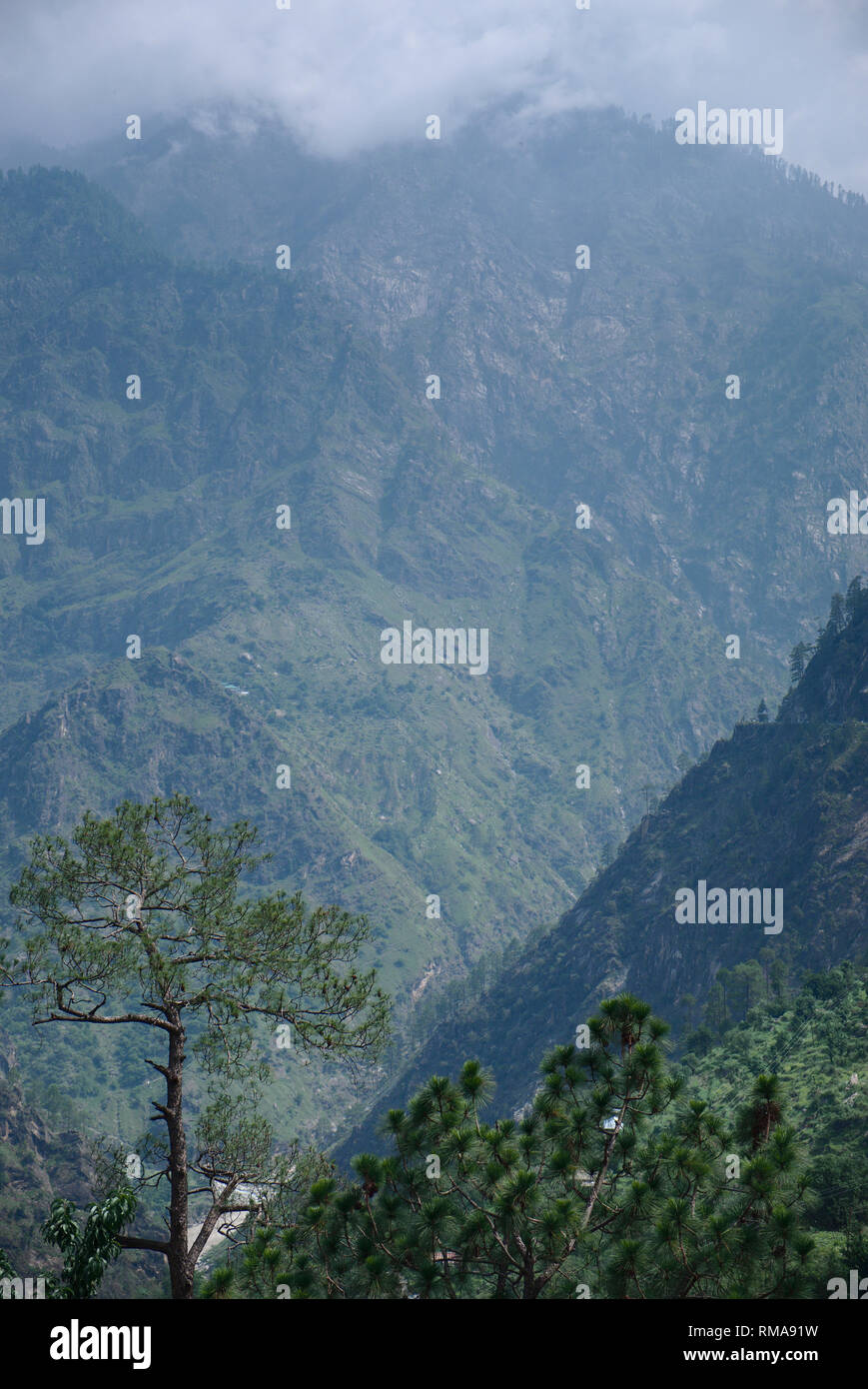 Satluj river hi-res stock photography and images - Alamy
