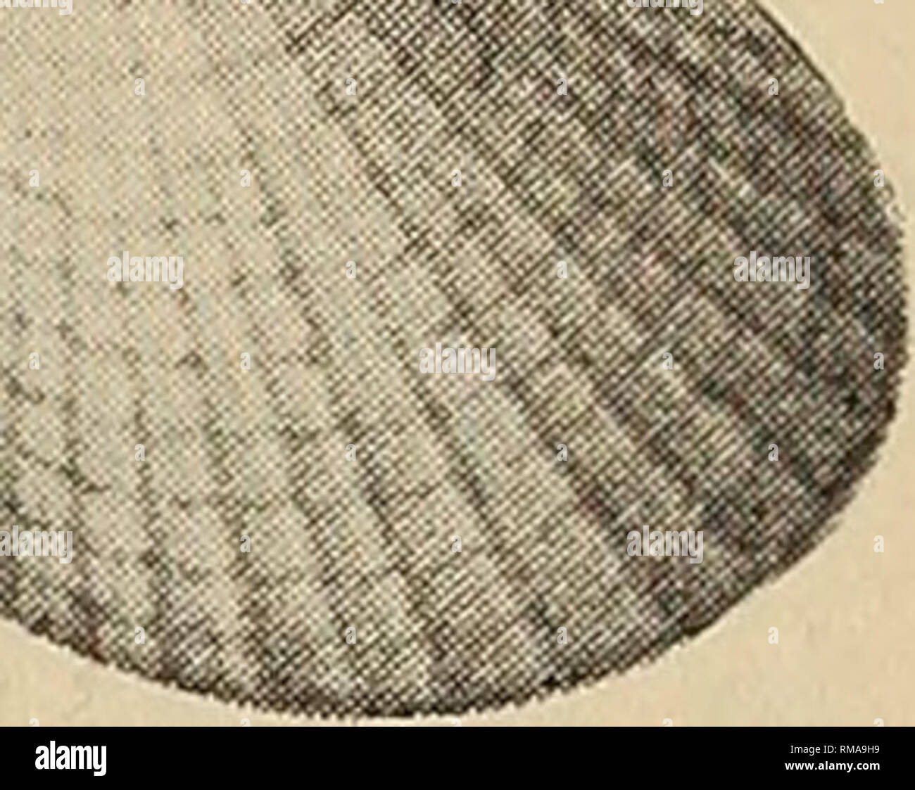 Peter redpath hi-res stock photography and images - Alamy