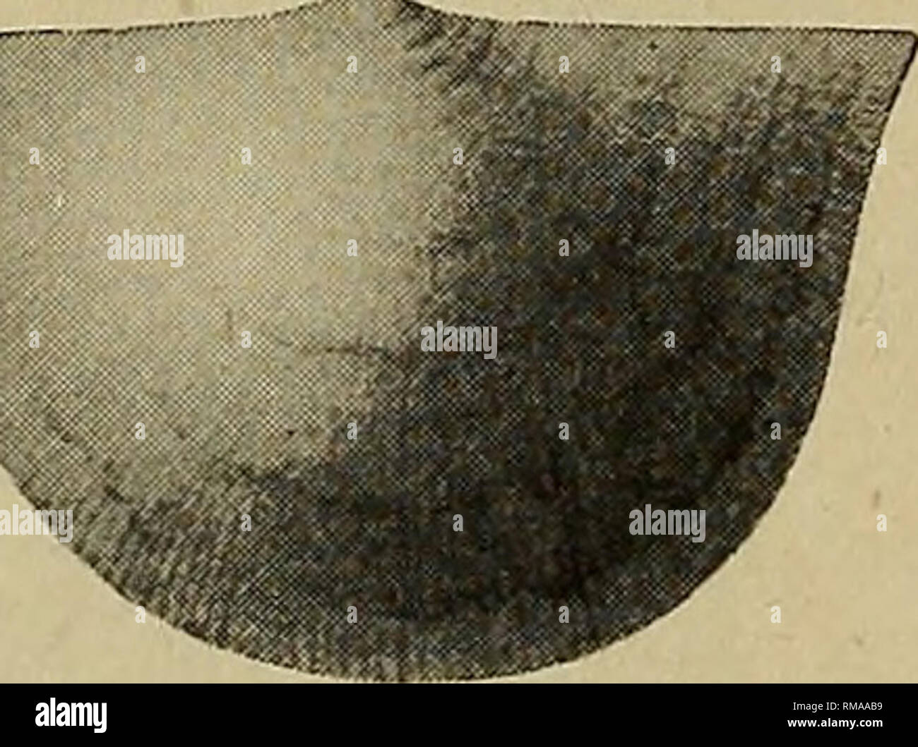 Convexo concave hi-res stock photography and images - Alamy