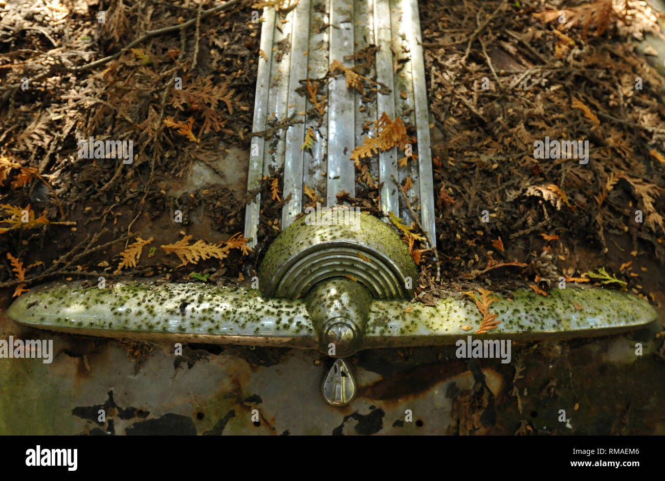 Classic car hood ornament hi-res stock photography and images - Alamy