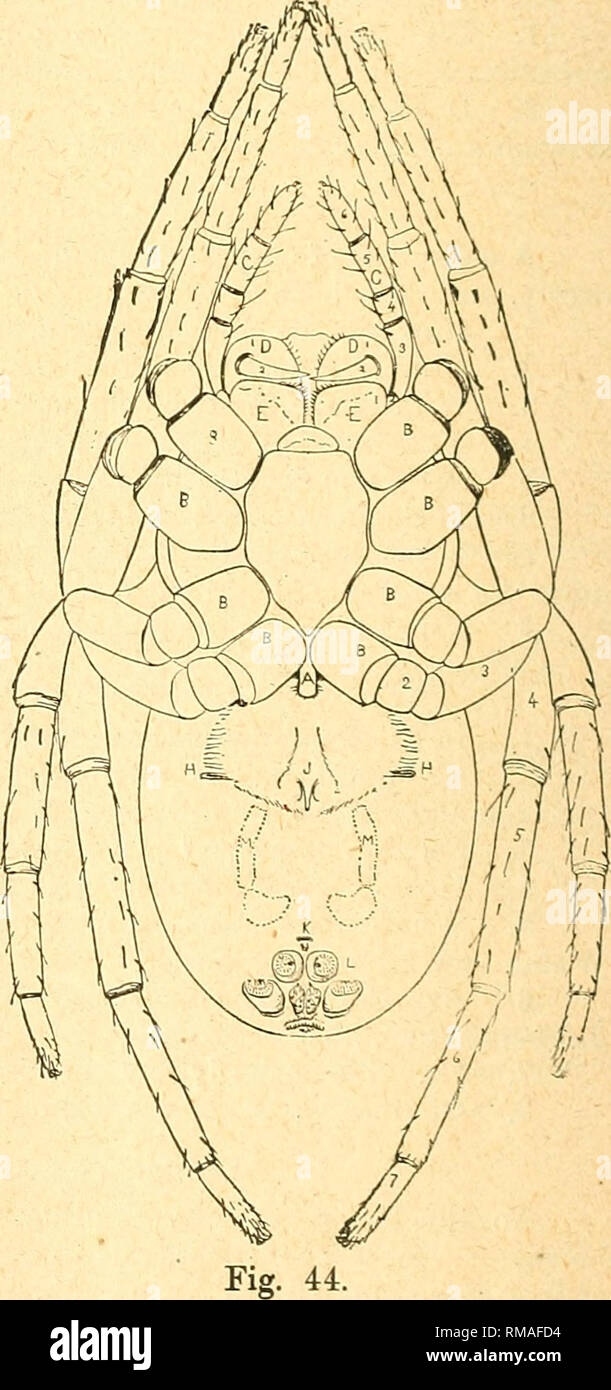 . Annual report. Entomological Society of Ontario; Insect pests ...