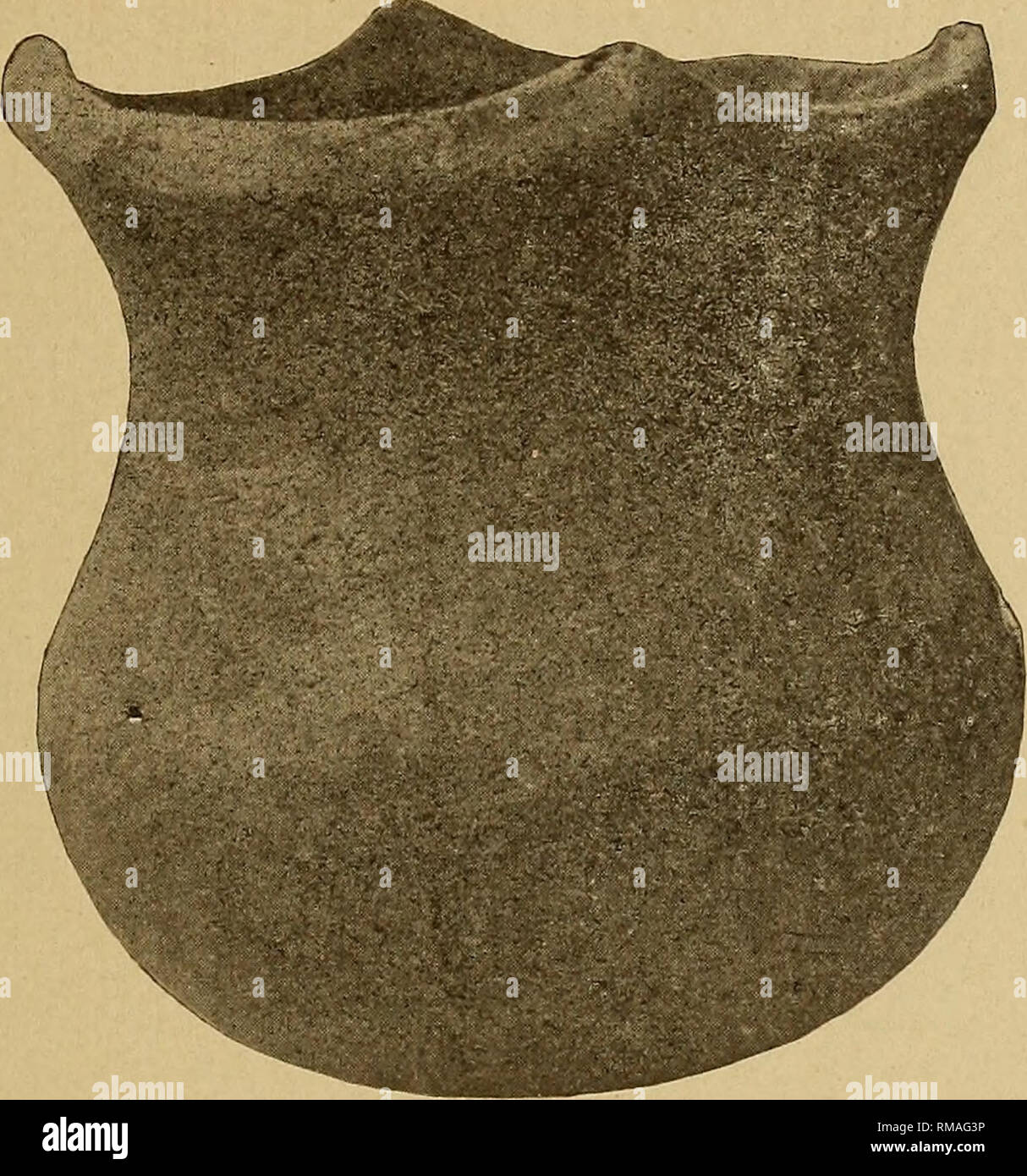 Flexed burial hi-res stock photography and images - Alamy