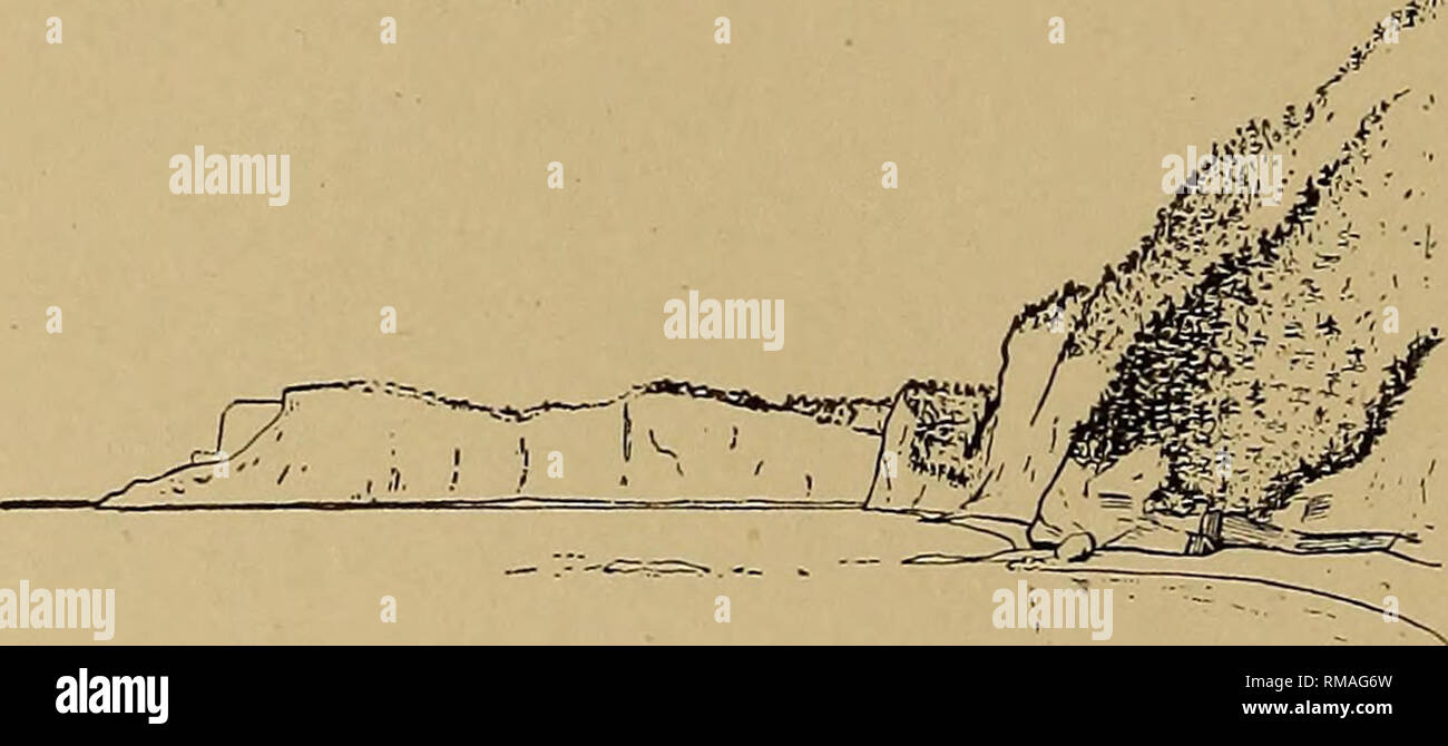 . Annual report. New York State Museum; Science; Science. 38 NEW YORK ...