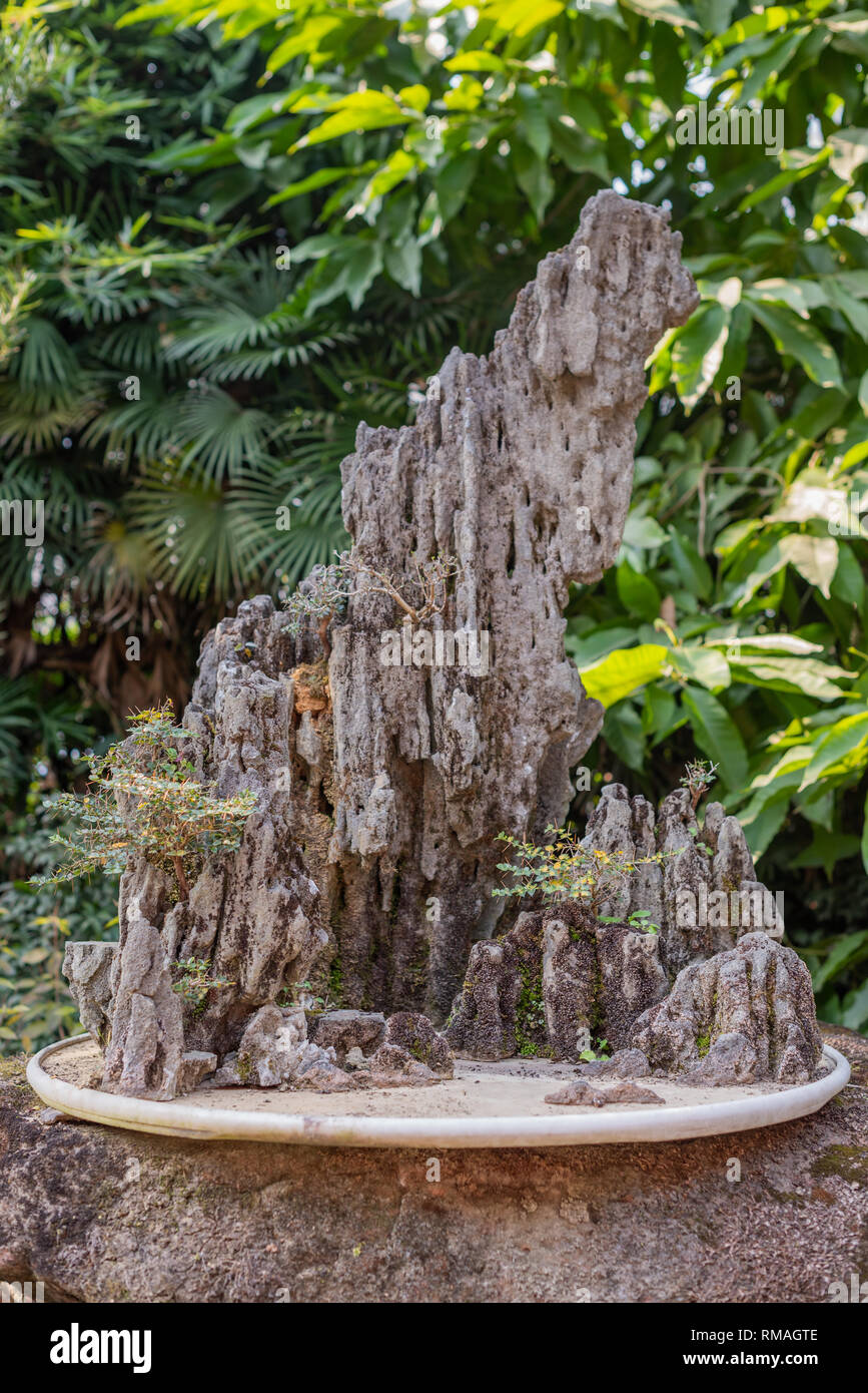 Bonsai trees on a rock in WangJiangLou public park, Chengdu, China ...