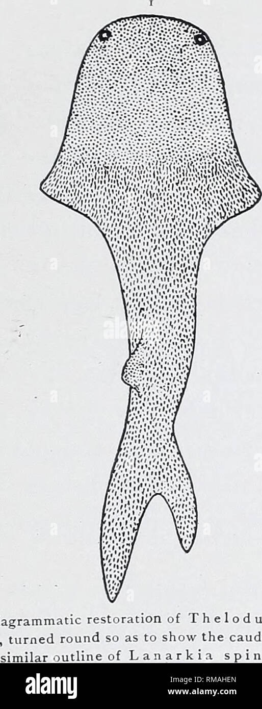 . Annual report. New York State Museum; Science; Science. DEVONIC ...