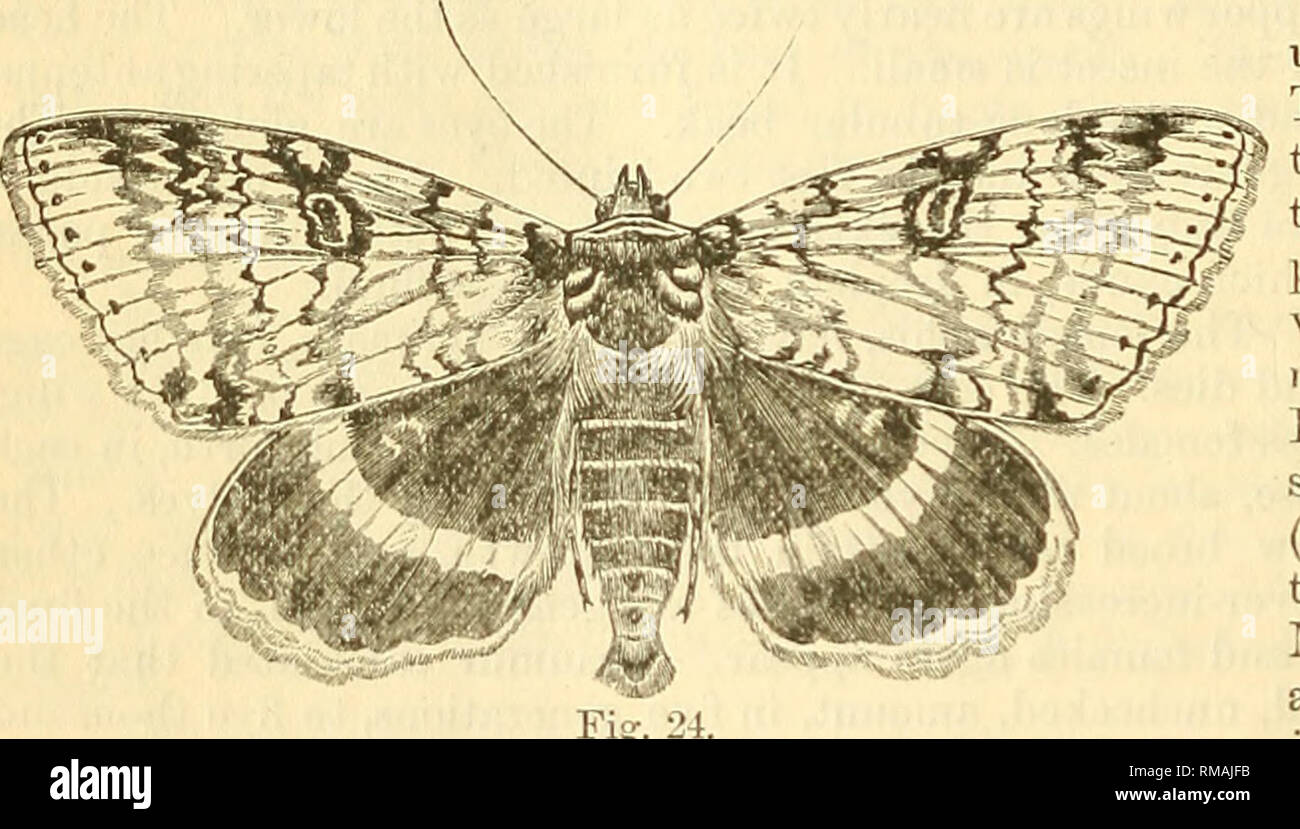 . Annual report. Entomological Society of Ontario; Insect pests ...