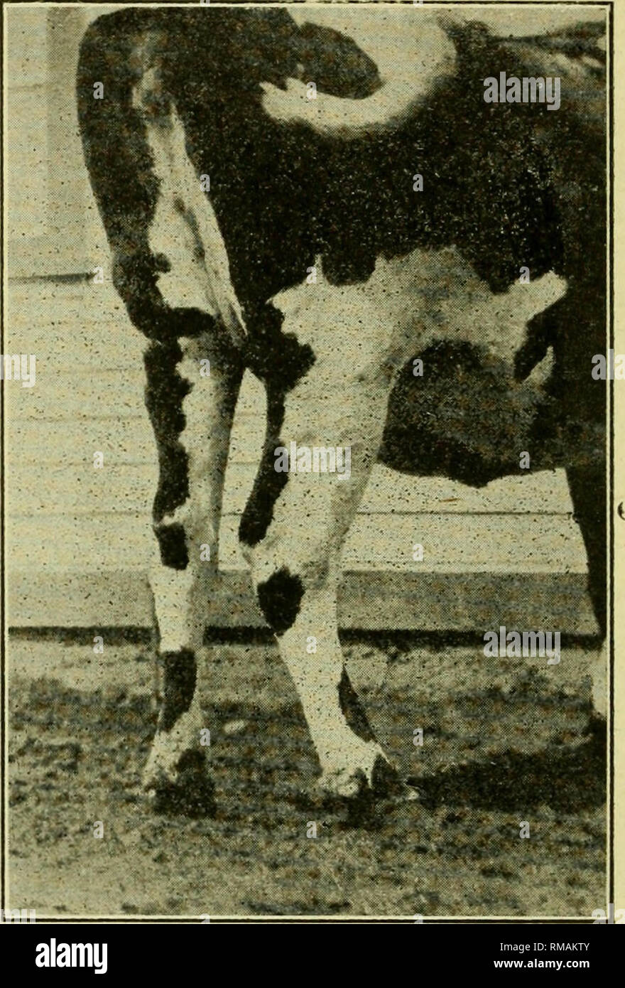 . Annual report. Entomological Society of Ontario; Insect pests ...