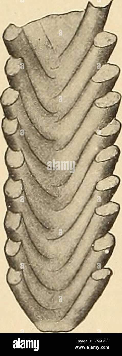 Reverse side convex hi-res stock photography and images - Alamy