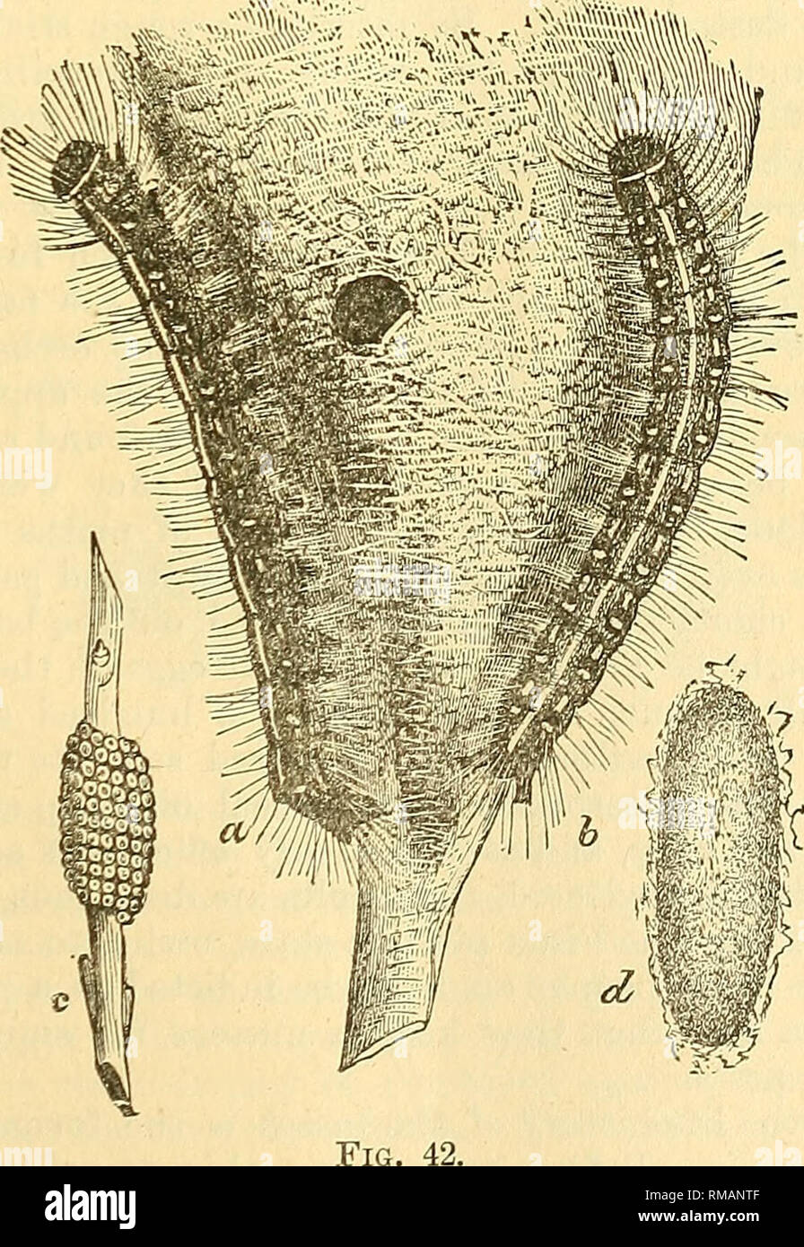 Hand crushing society hi-res stock photography and images - Alamy