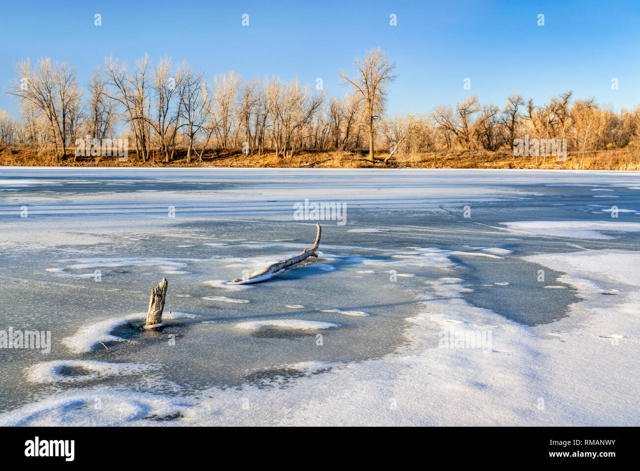 Frozen lake in northern Colorado, one of natural areas in Fort Collins ...
