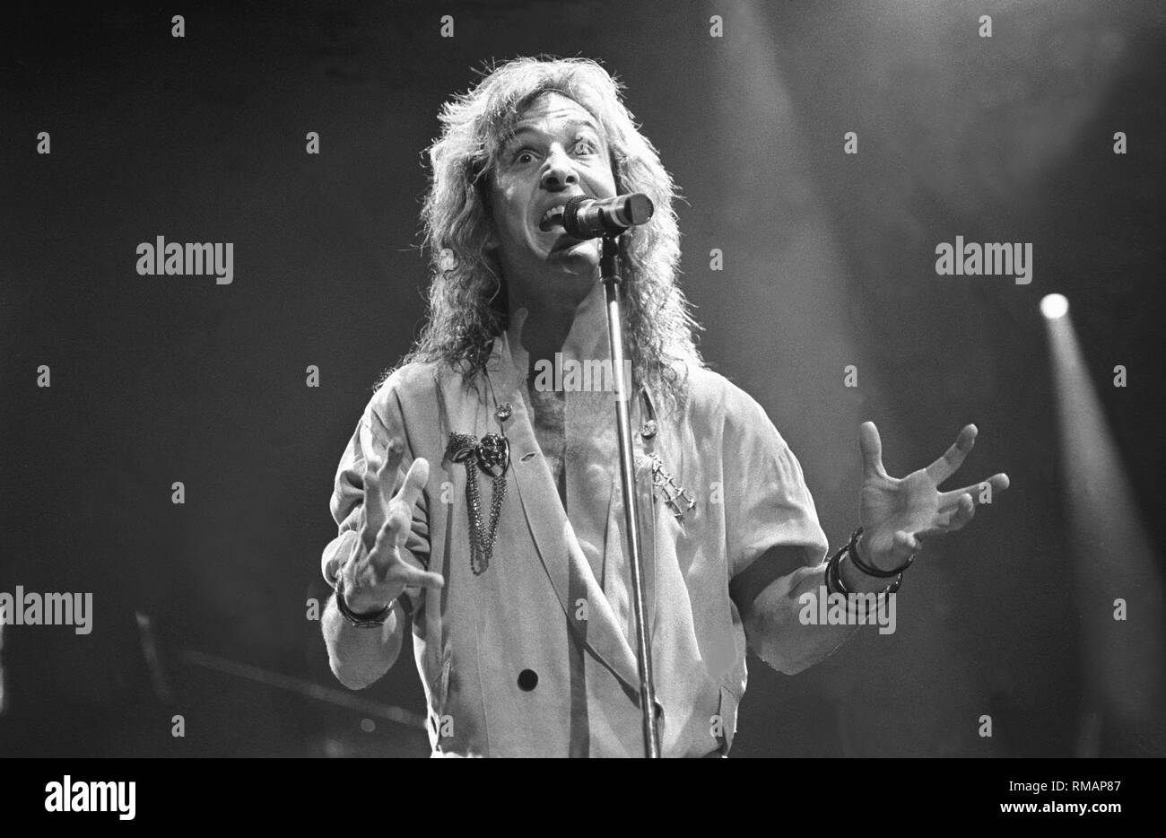 Steve walsh hi-res stock photography and images - Alamy