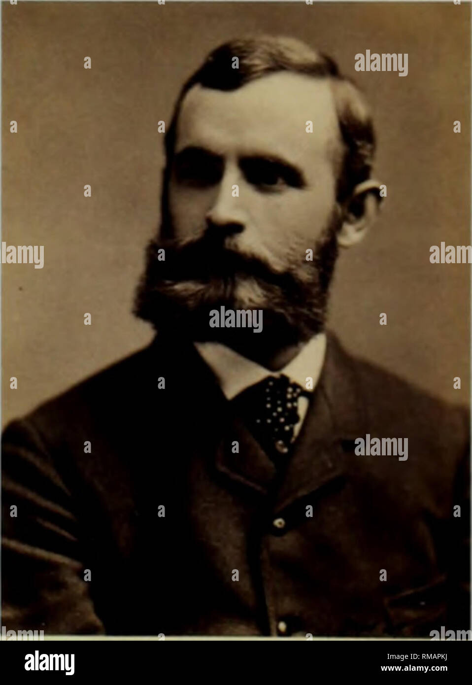 Ernst mayr library natural history hi-res stock photography and images ...