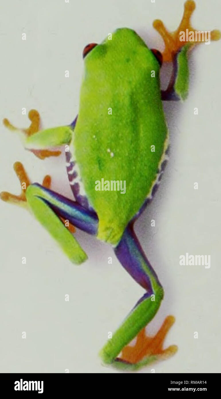 Robert and naomi james hi-res stock photography and images - Alamy