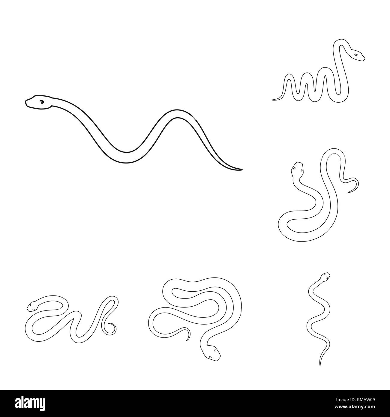 snake,viper,tail,python,leather,tropical,creeping,animal,green,crawling ...