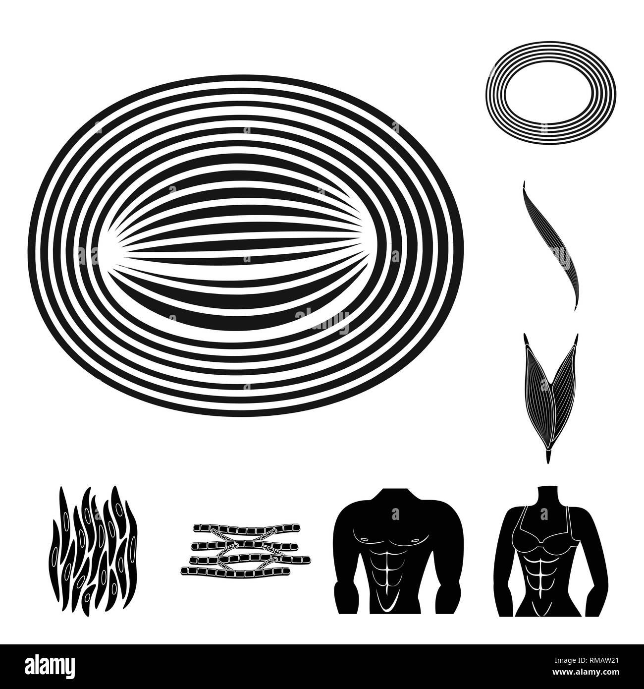 Vector design of human and body icon. Collection of human and cells ...
