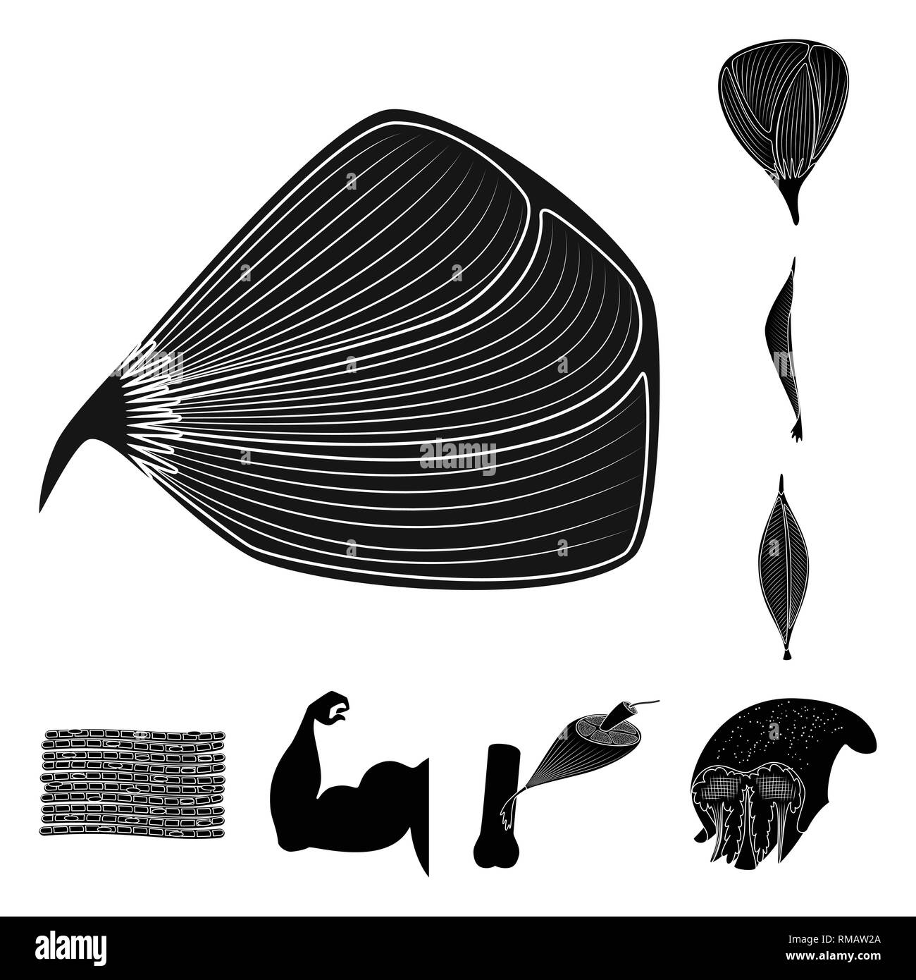 Vector illustration of human and body logo. Collection of human and ...