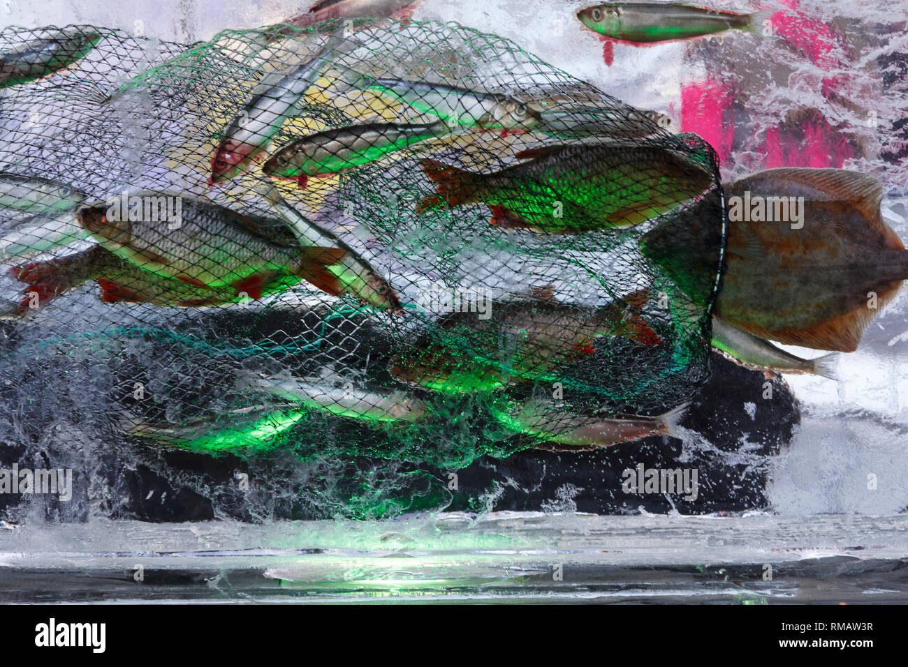 Ice sculpture festival latvia hi-res stock photography and images - Alamy