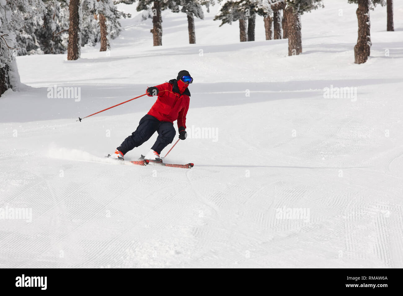 Skiing on a beautiful snow forest landscape. Winter sport. Horizontal ...