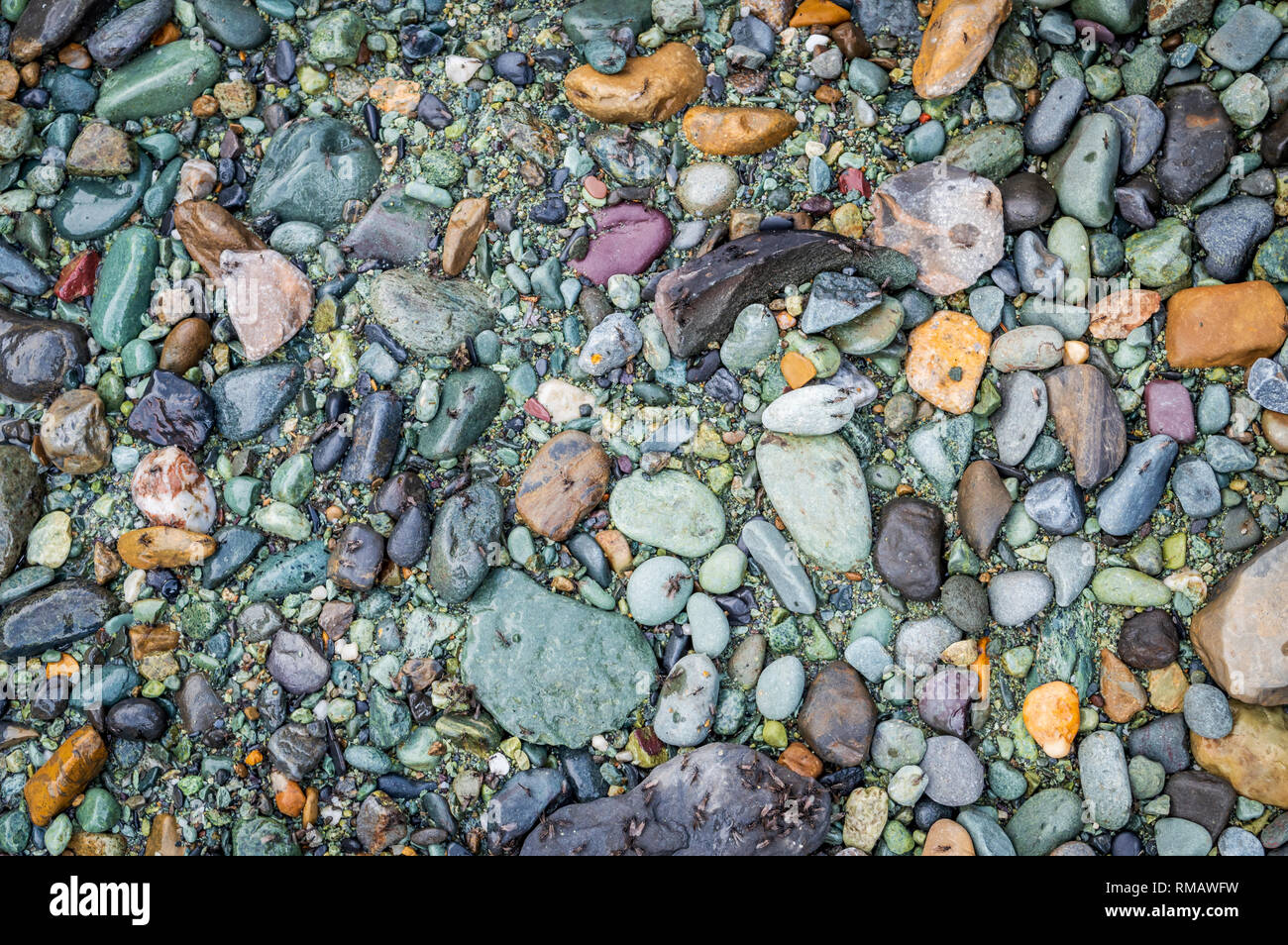 Rounded pebbles of different colours deposited on the bank of River ...